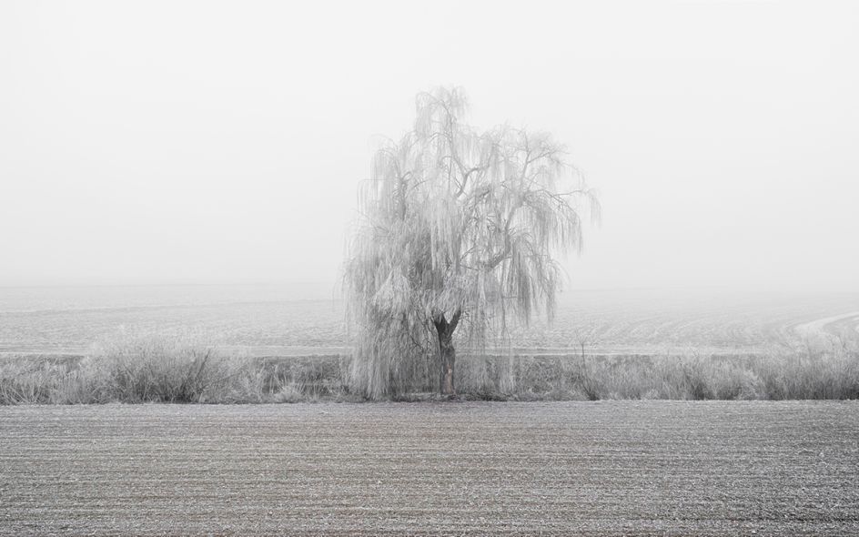 Silver Morning: Alessandro Zanoni documents a freezing winter's morning ...