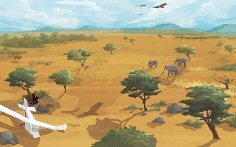 Kerry Hyndman illustrates Survivors, an award-winning book on inspiring ...