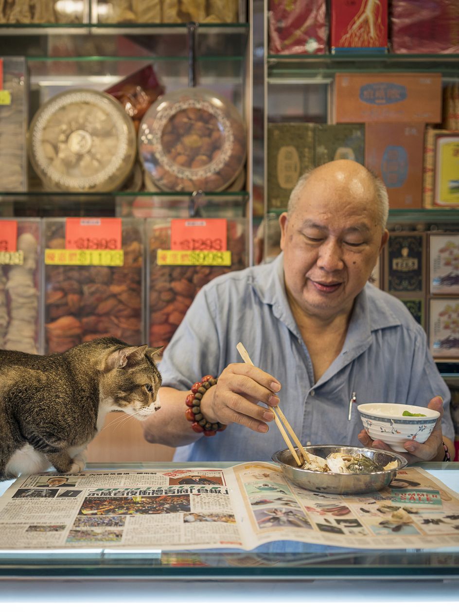 Shop Cats: Photographer captures charming felines living in Hong Kong's ...