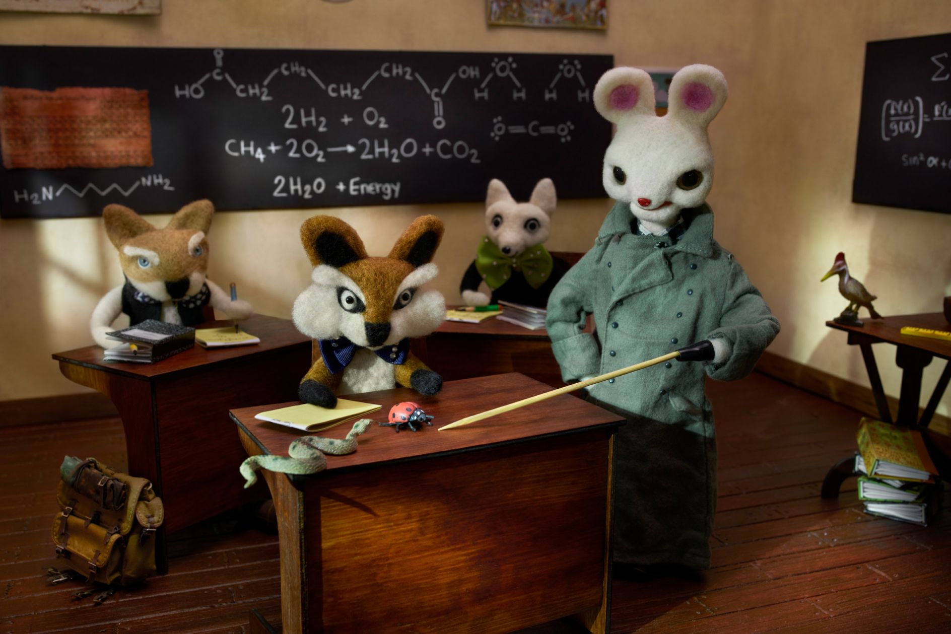 Inquisitive Creatures: Photographs that tell the story of four friends ...