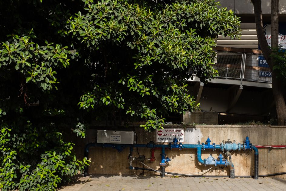 Urban Nature: David Goldstein shows the beauty of cities coexisting ...