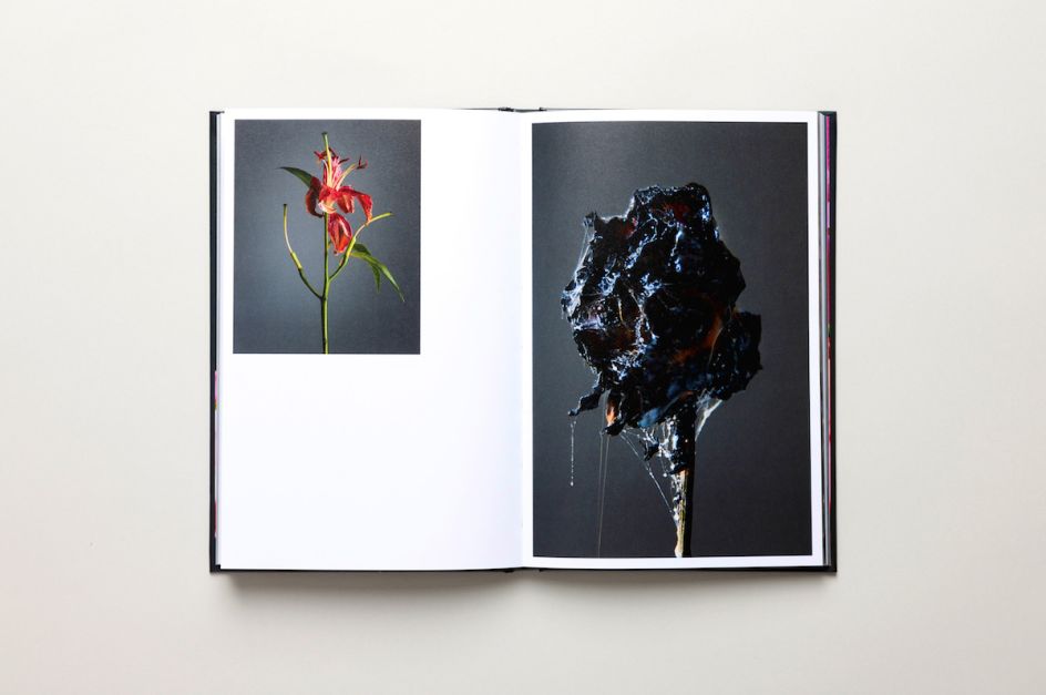 Rankin launches new isolation-themed photography collection to help ...