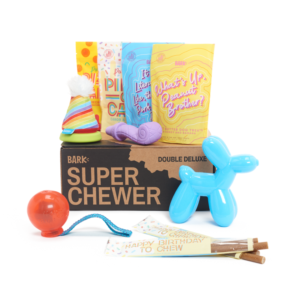 The ins and outs of designing 'Instagrammable' toys, for dogs ...