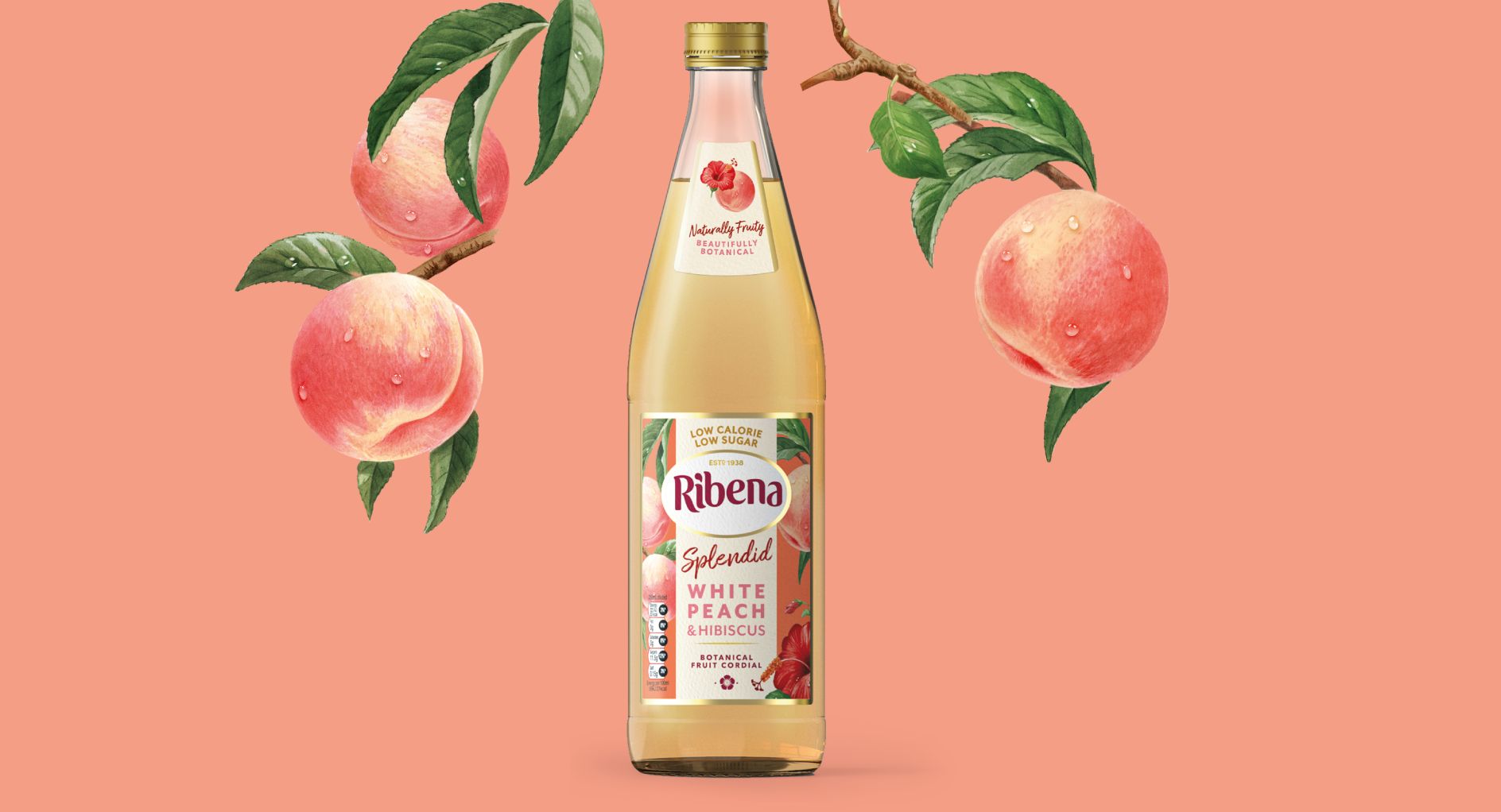 Seymourpowell creates new designs for iconic squash brand Ribena ...