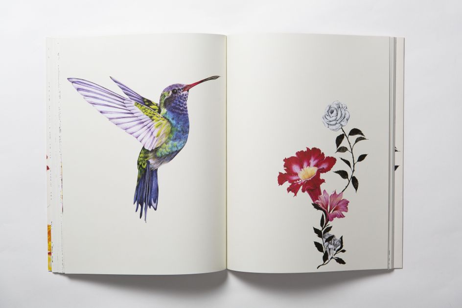 Birdtopia: A beautifully illustrated colouring book by the talented ...