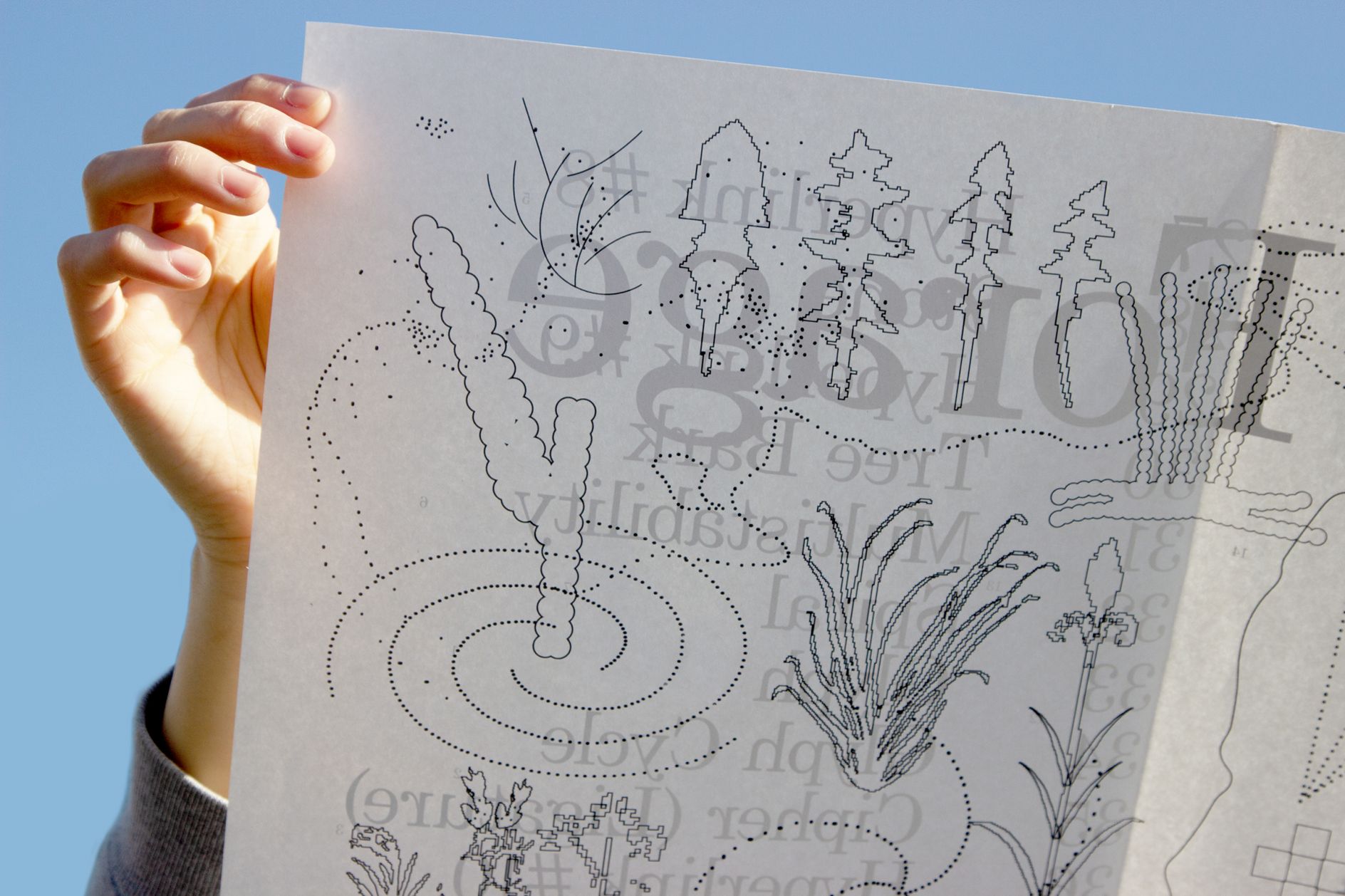 Jun Lin's Slow Forage shows a considered love of language, art and ...