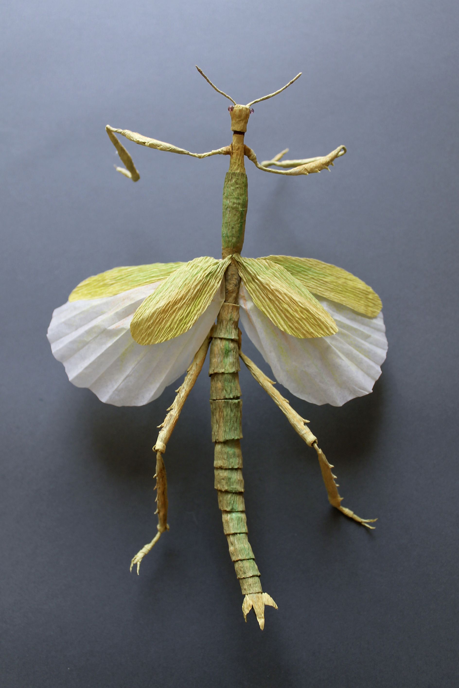 Life-like paper insects painstakingly made from fine crepe paper ...