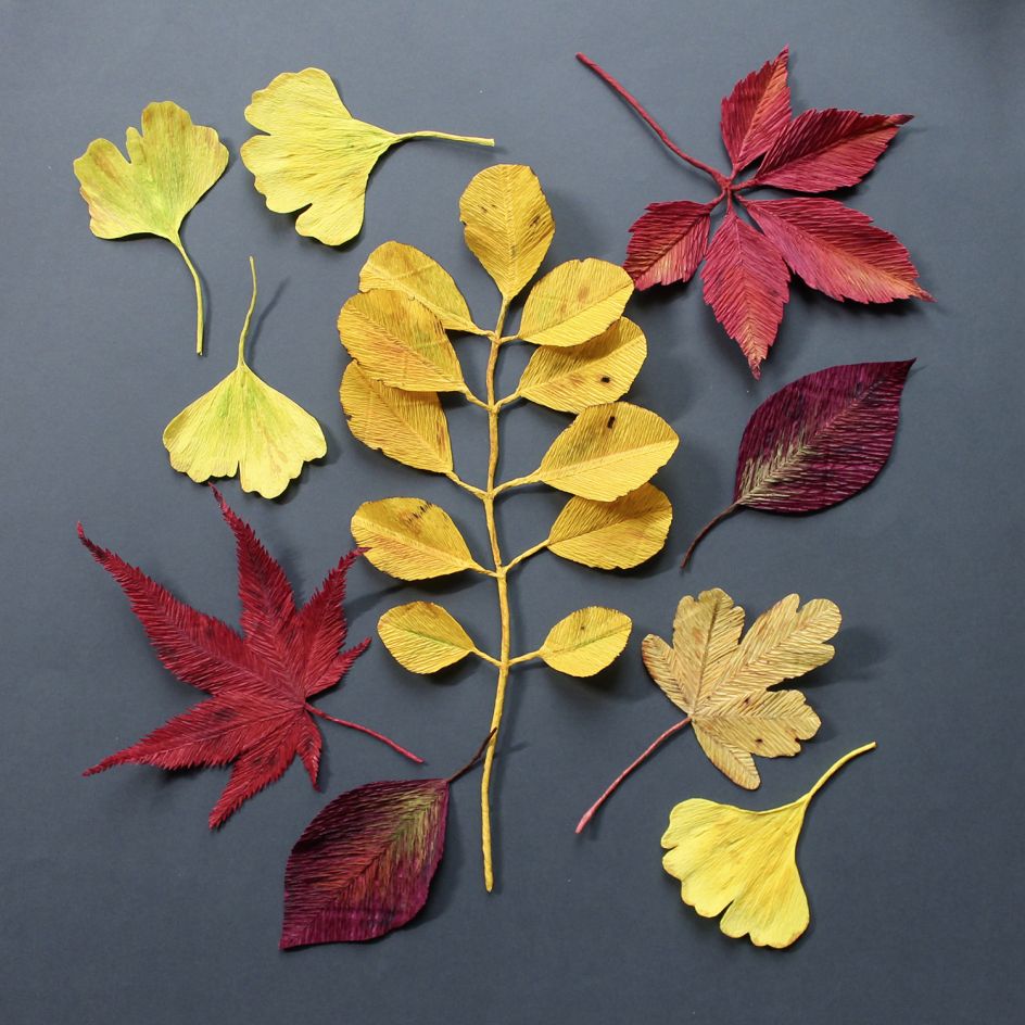 Life-like paper insects painstakingly made from fine crepe paper ...