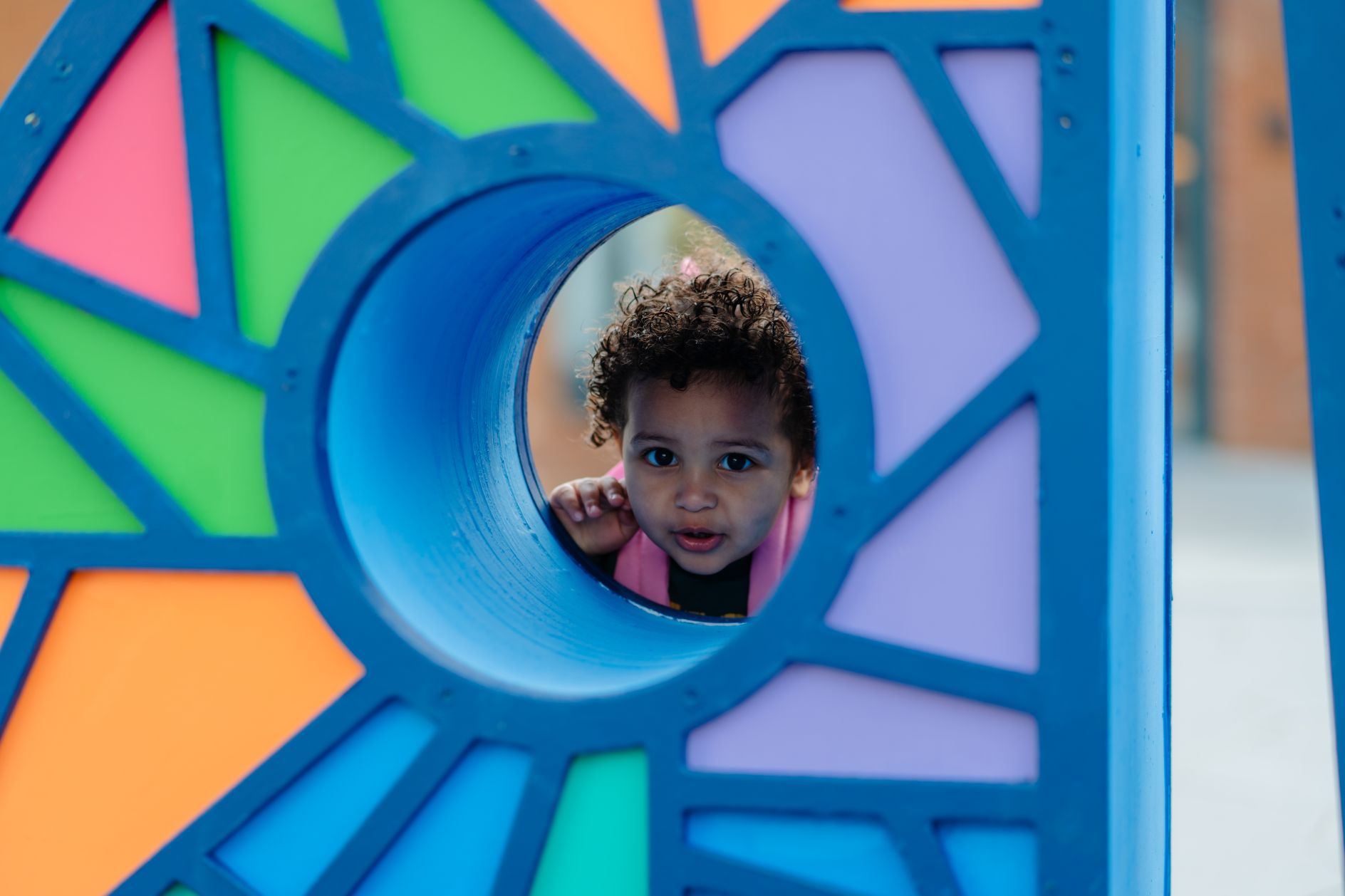 Saving Butterflies: art project cleverly combines issues of asylum and ...