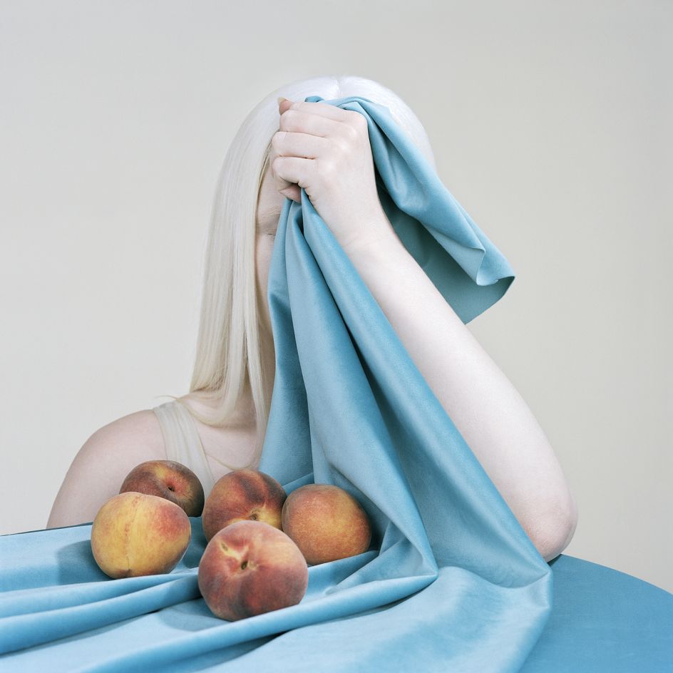 Still Life Studio: fine art photographs by Petrina Hicks inspired by ...