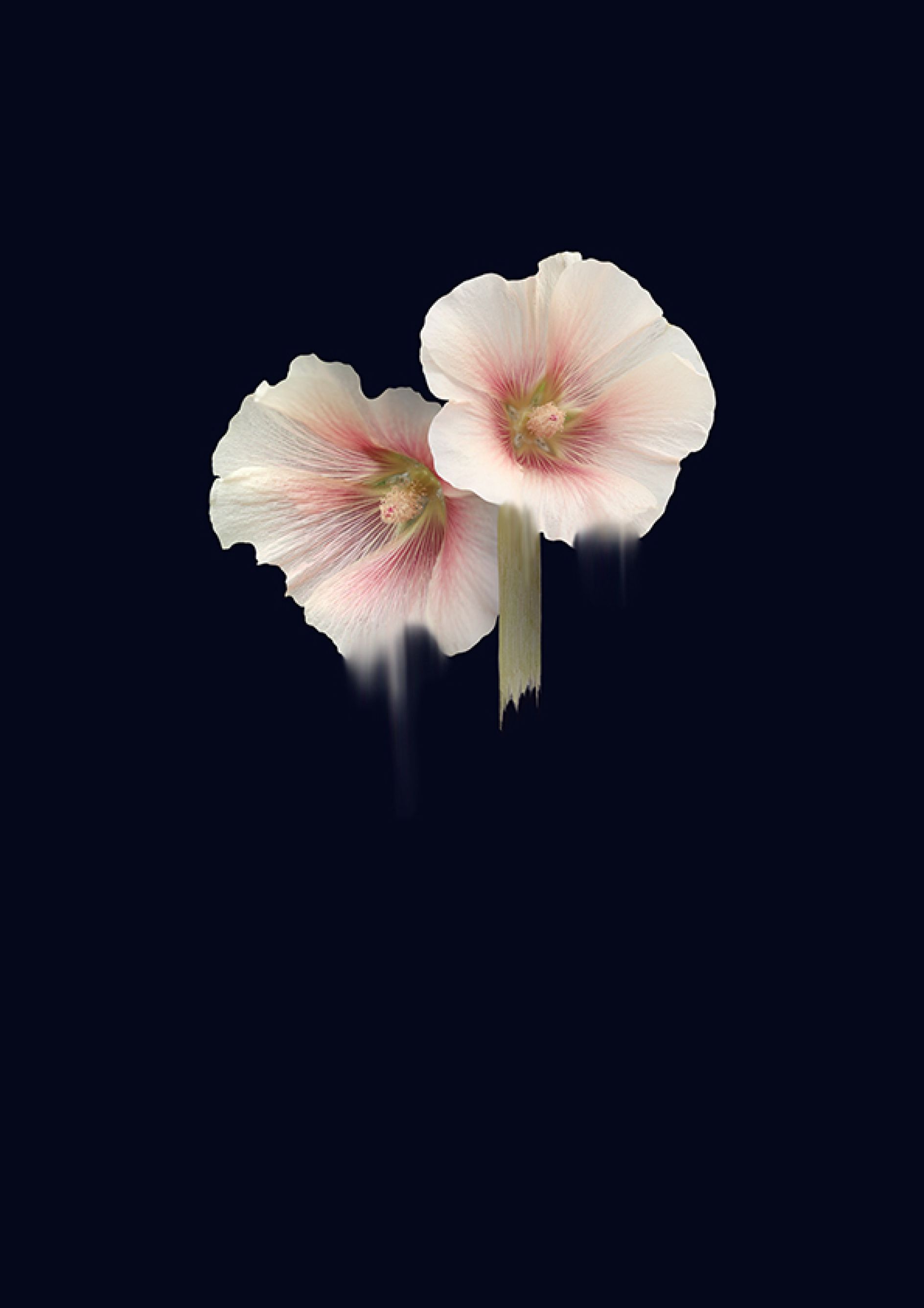 Girls Like Us: art series highlights the next generation of young female creatives | Creative Boom