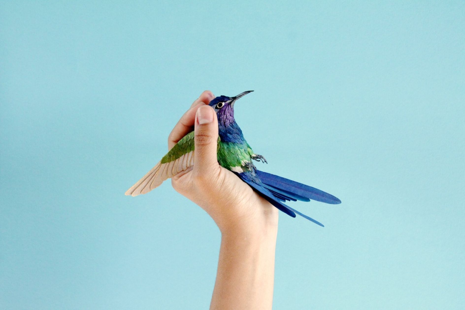 Paper Birds: Delicate feathered friends crafted entirely from coloured ...
