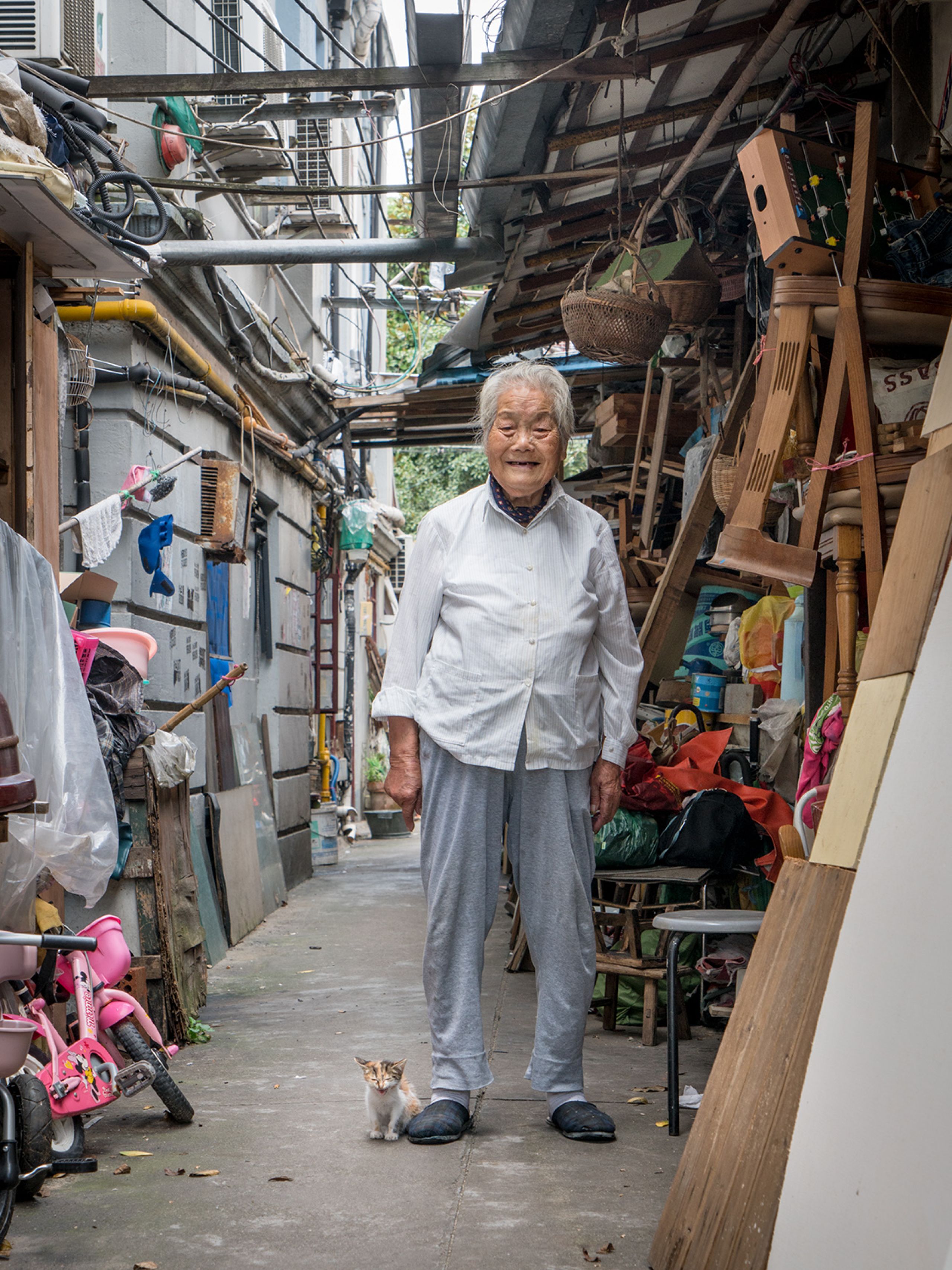 Photographs of the 'Shop Cats of China' offer a unique glimpse into ...