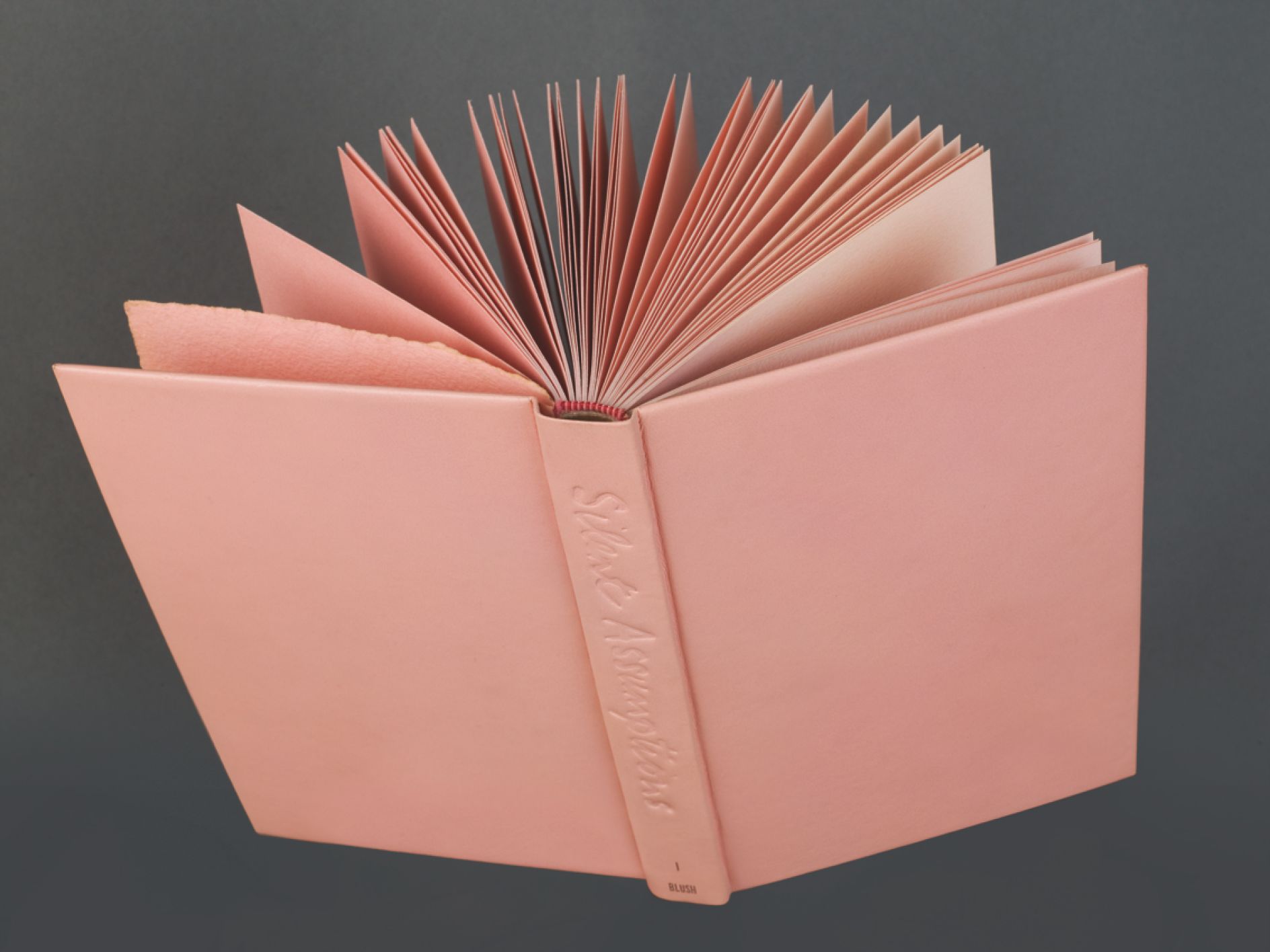 Power for the People! The work of feminist art provocateur Rose Finn ...