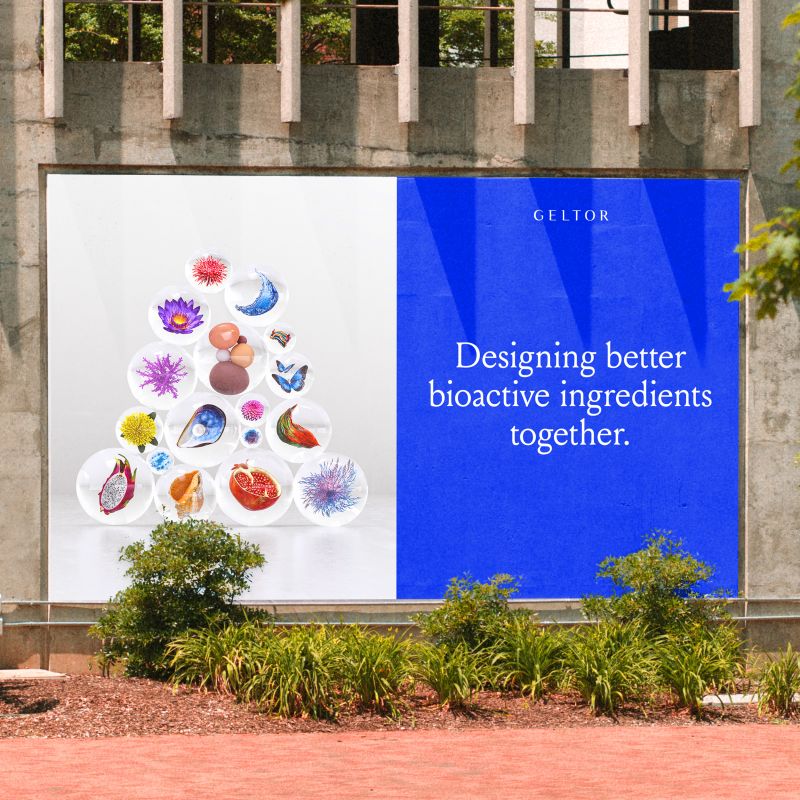 &Walsh's clean and nature-inspired identity for the world's most ...