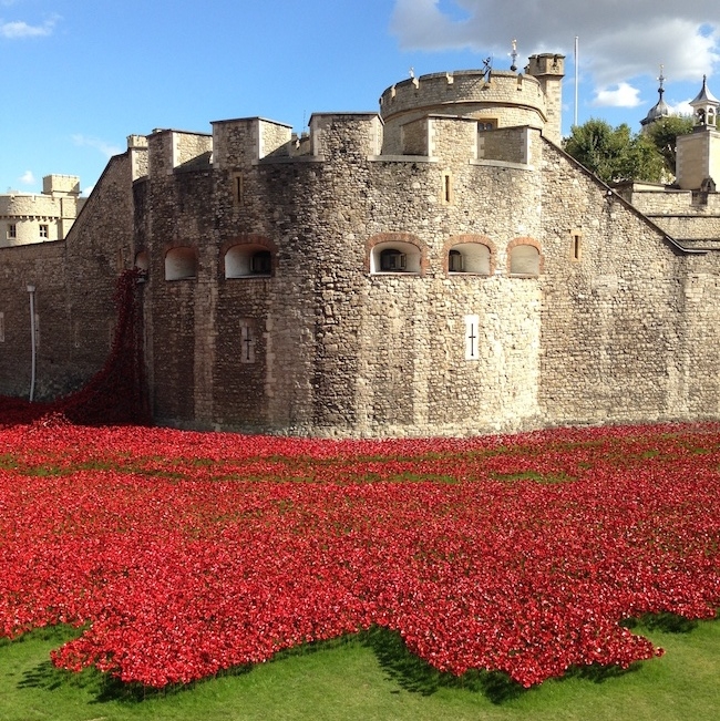 See the Tower Poppies bloom | Creative Boom