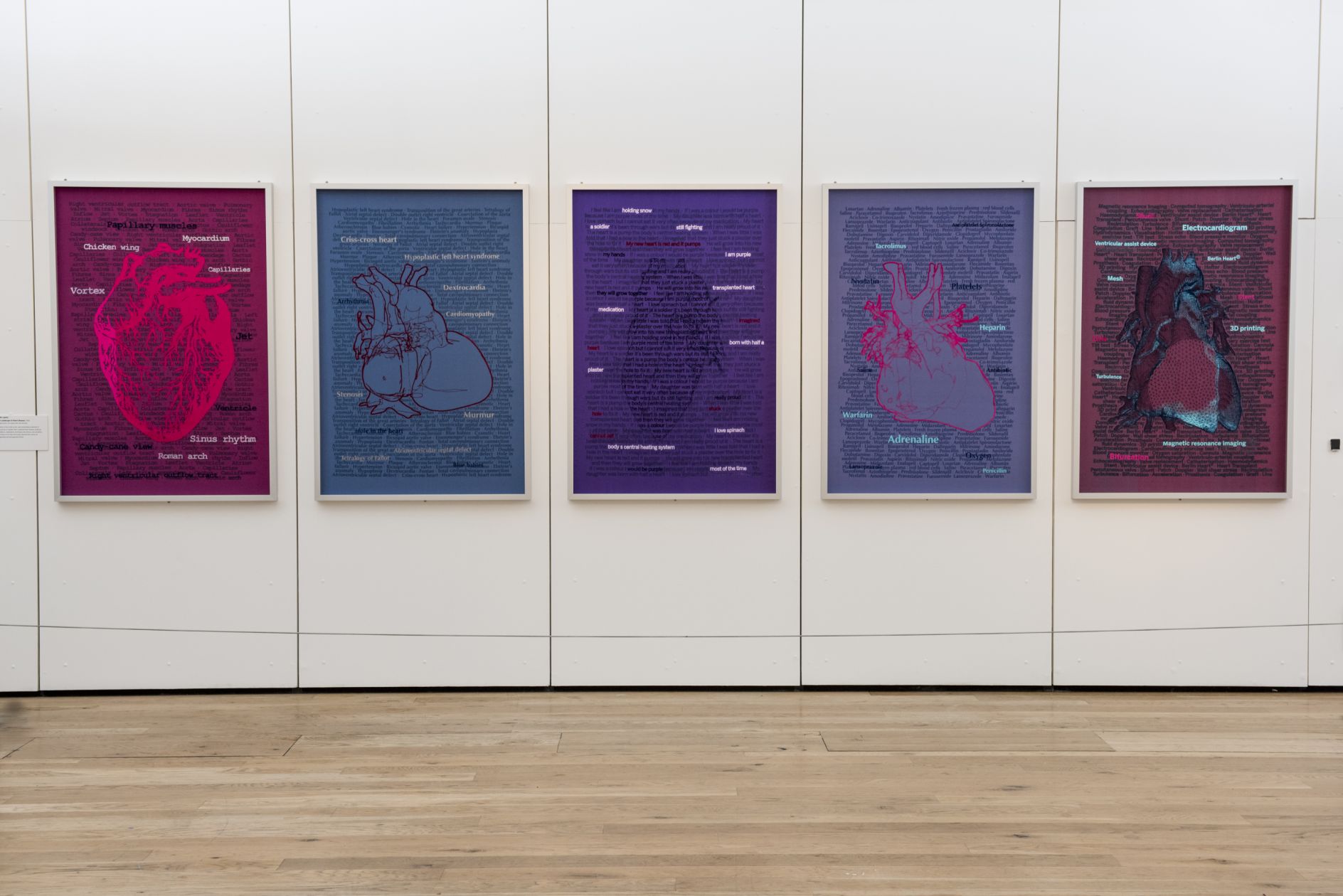 The Heart of the Matter: art and science merge to explore the ...