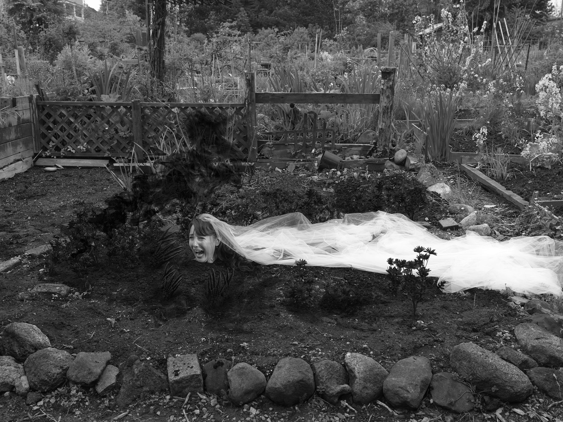 Snapshots from the Garden of Eden: Photographic tableaux inspired by ...