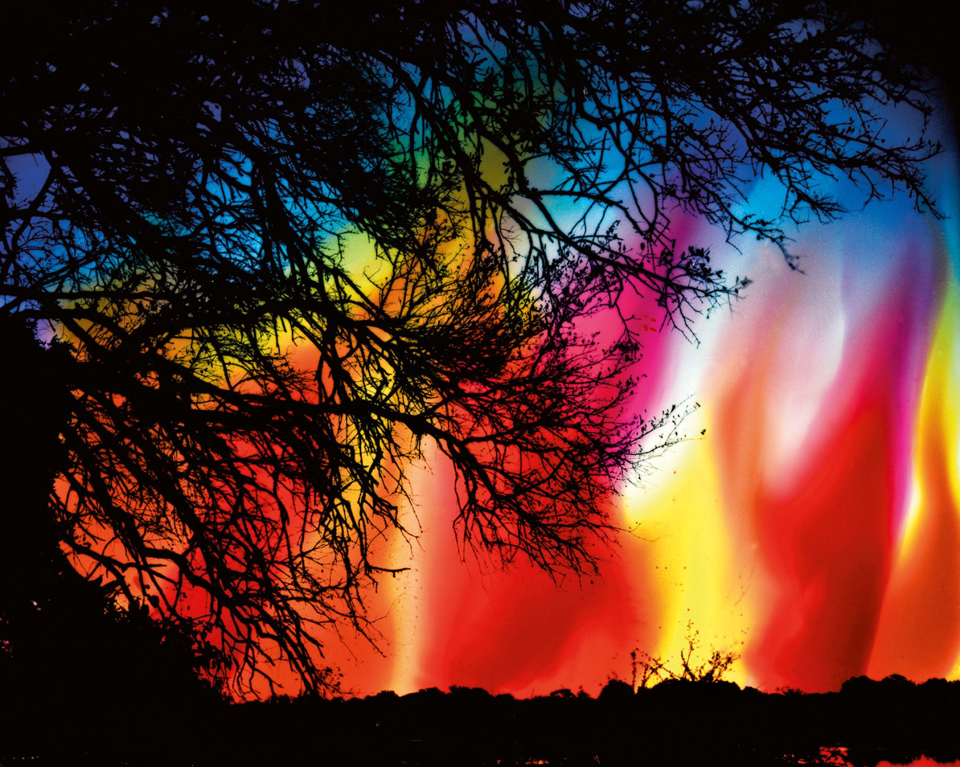 Swamp: Psychedelic photography series pops with an explosion of ...