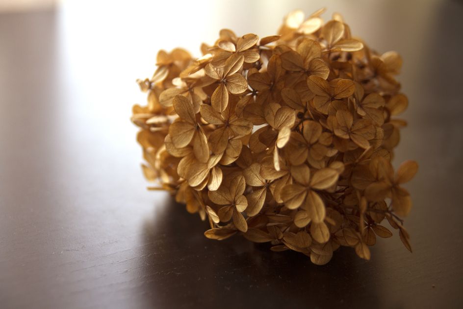 Flower Figures: Artist digitally crafts sculptures of women from a ...