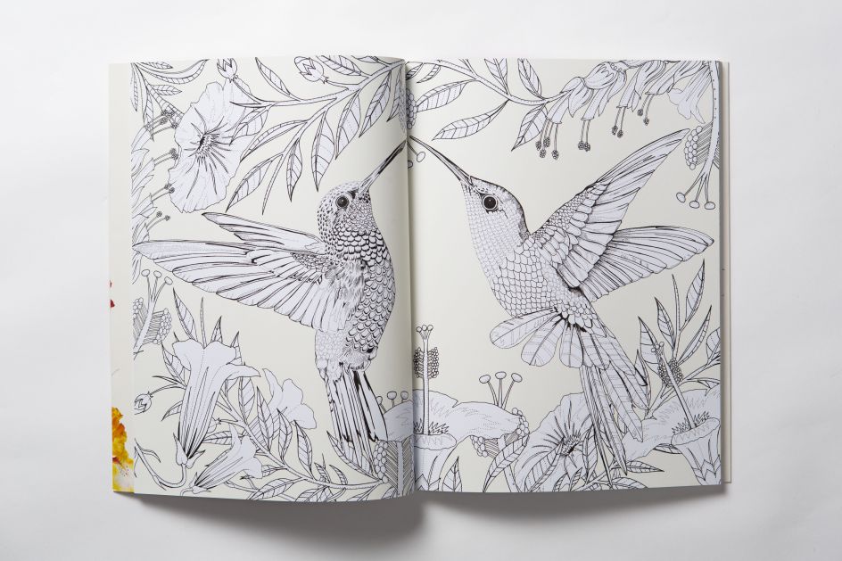 Birdtopia: A beautifully illustrated colouring book by the talented ...