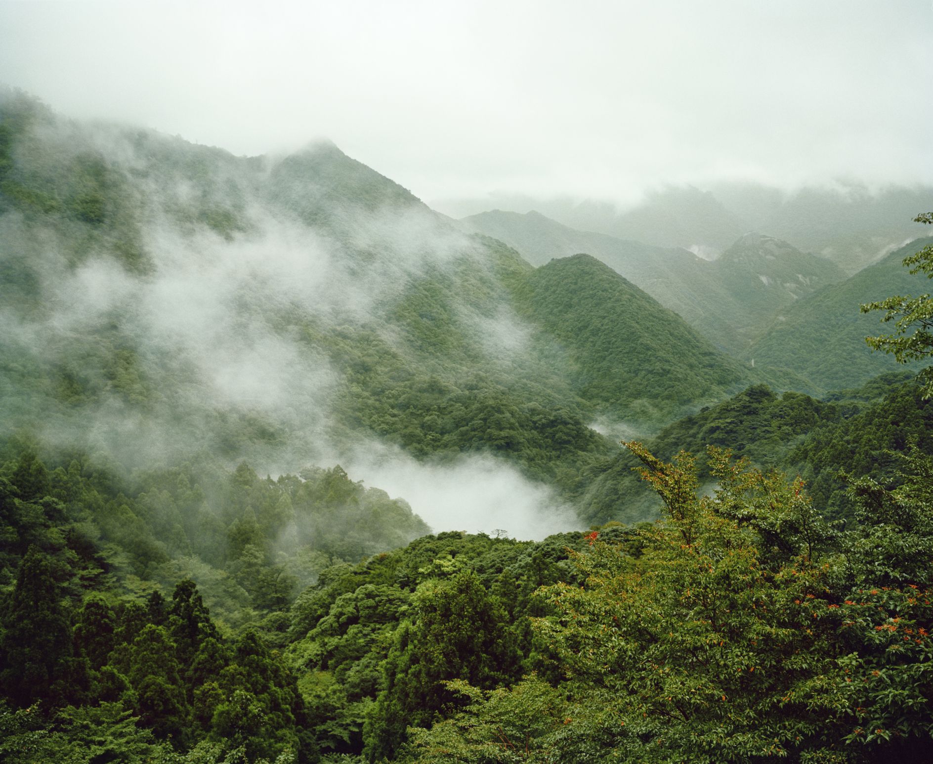 Super Extra Natural: Emily Shur chronicles 12 years of travel in Japan ...