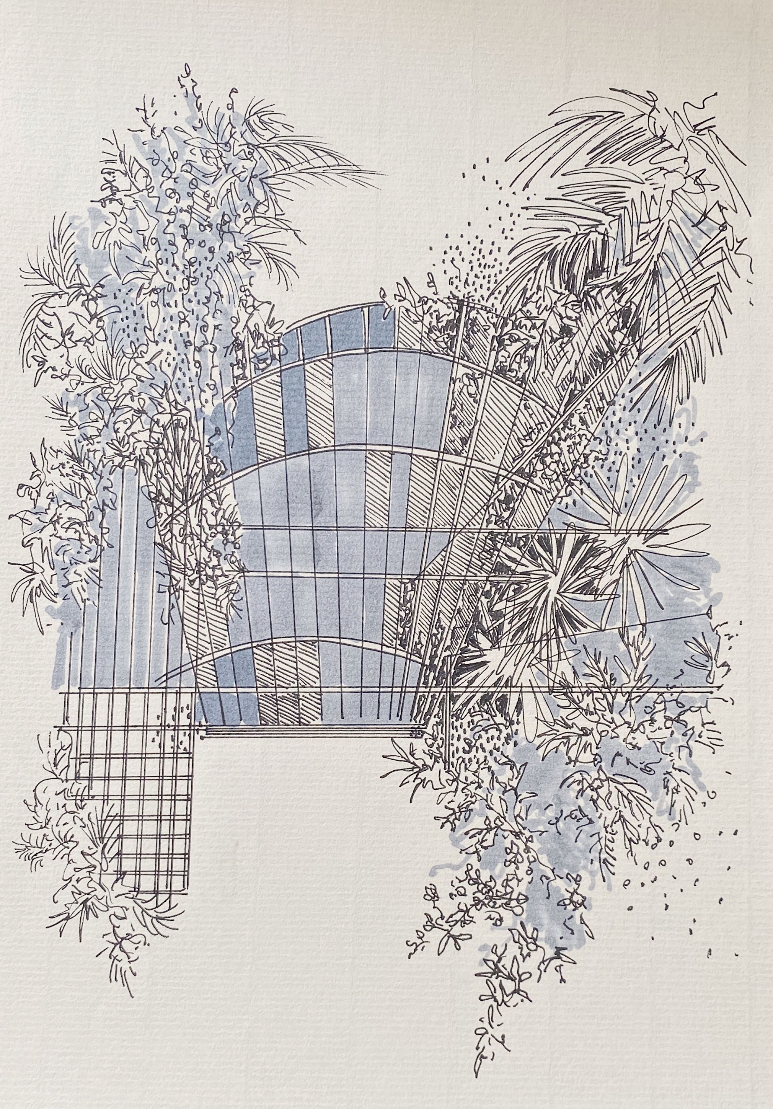 Zara Tisma turns to greenhouses and gardens for her latest series of ...
