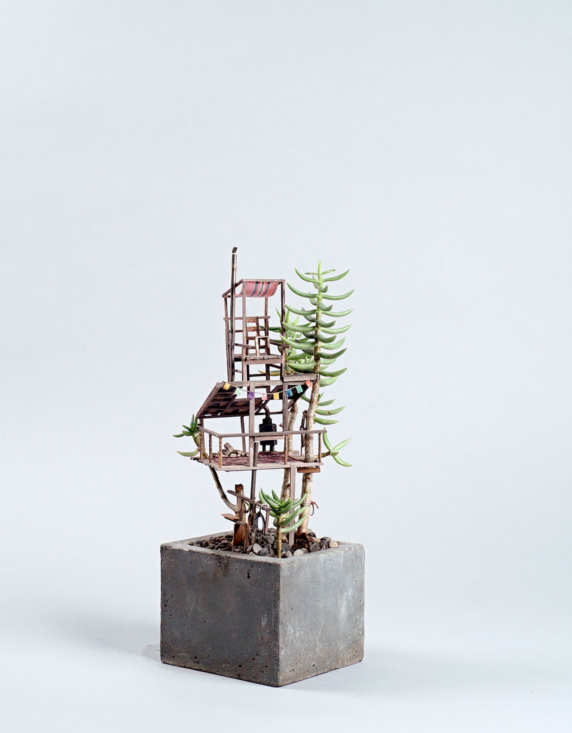 Artist crafts miniature treehouse sculptures to sit within ordinary ...
