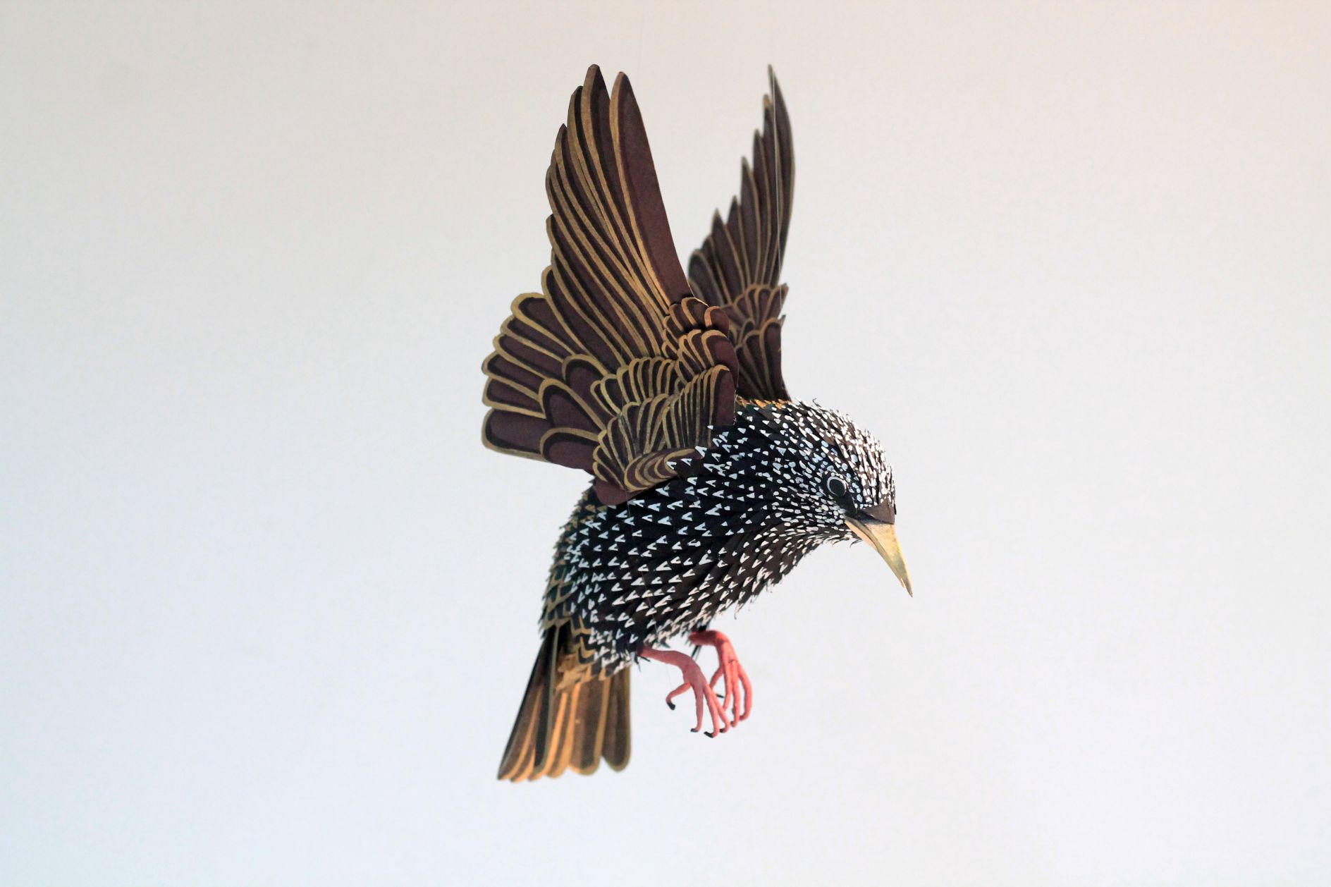 Paper Birds: Delicate feathered friends crafted entirely from coloured ...