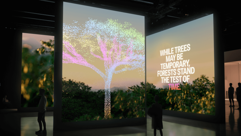 How&How Studio rebrand of Pachama helps shake up the carbon capture ...