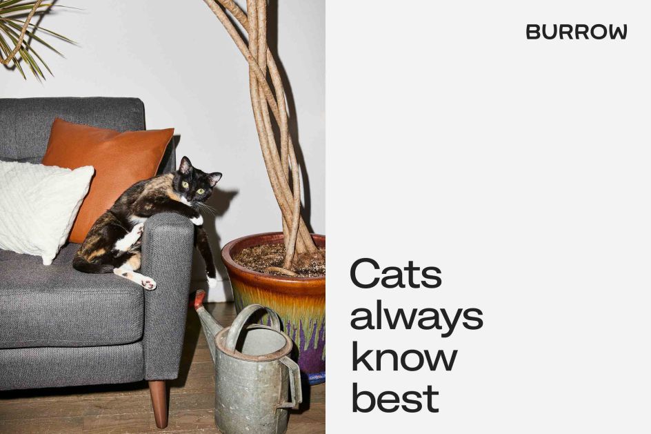 Placeholder’s mid-century inspired typeface for furniture brand Burrow ...