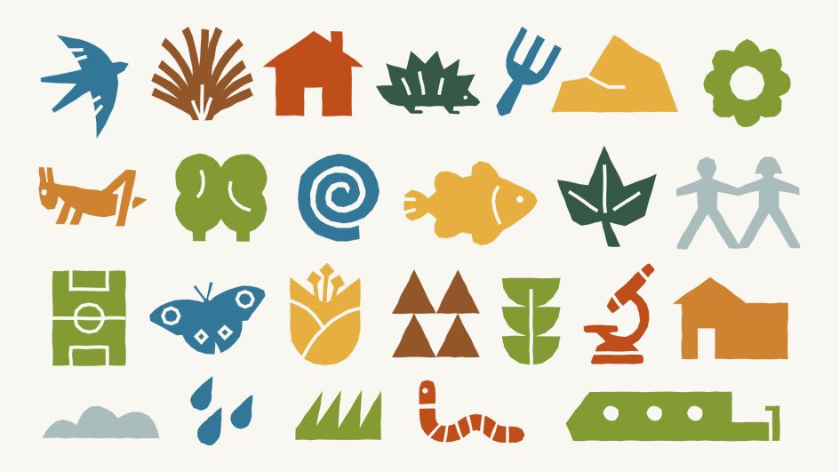 Out of Place Studio's identity for nature education scheme hits all the ...