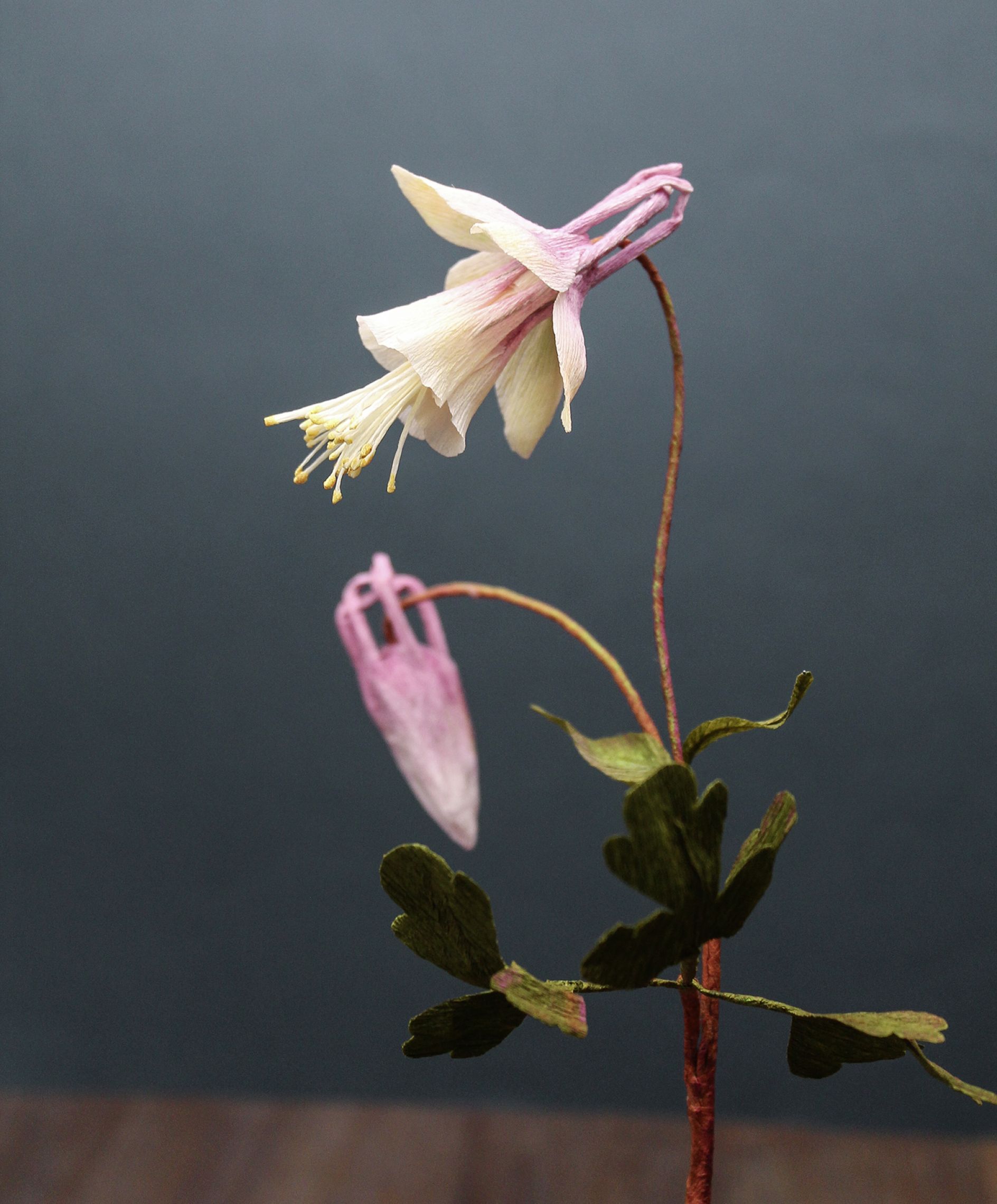 Life-like paper insects painstakingly made from fine crepe paper ...