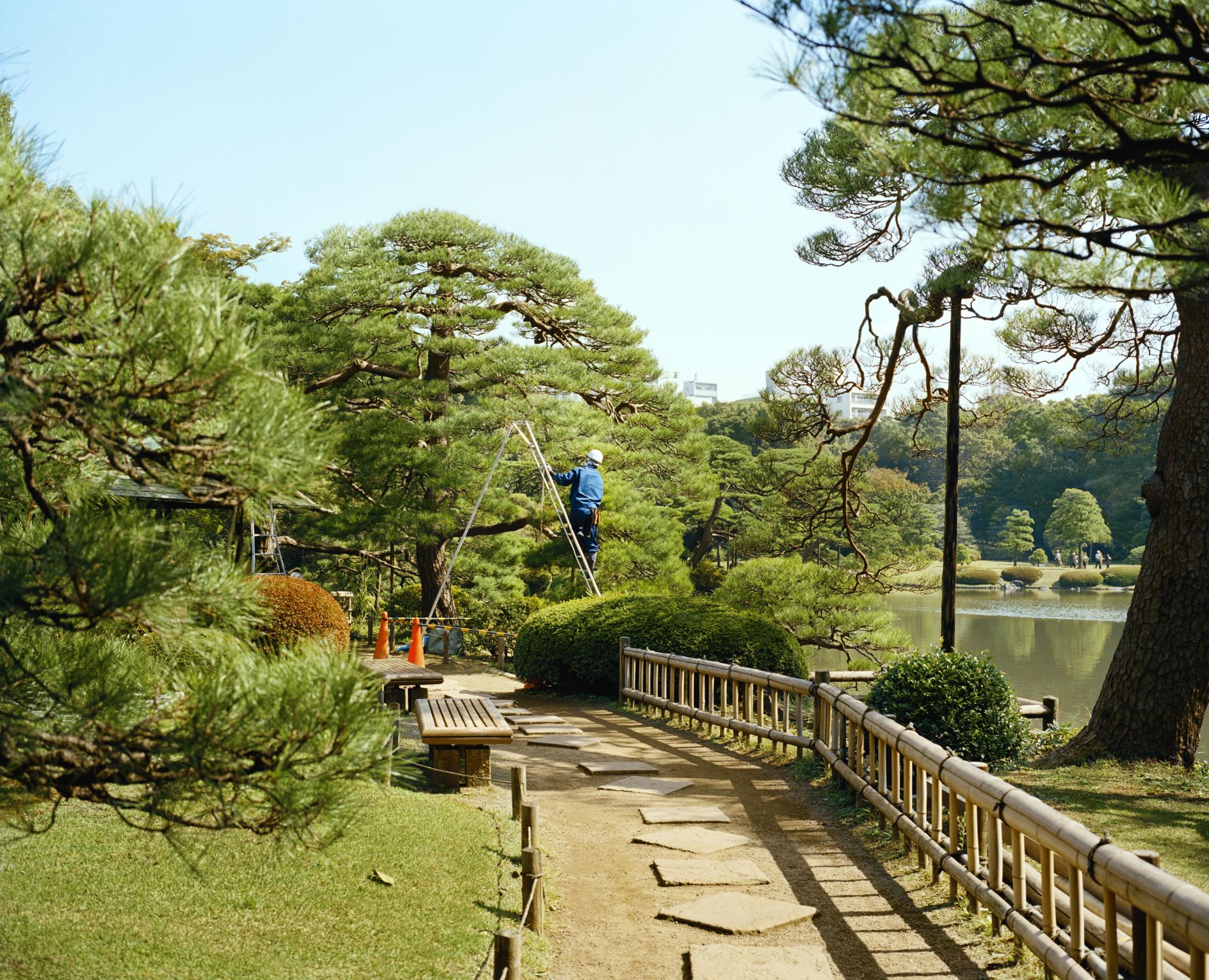 Super Extra Natural: Emily Shur chronicles 12 years of travel in Japan ...