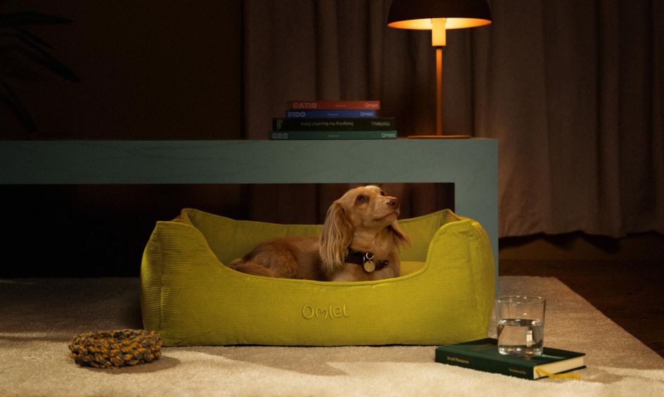 Omlet's playful new identity celebrates the special bond between pets ...