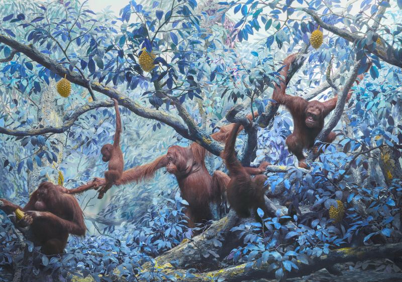 Jim Naughten's surreal 'digital paintings' highlight the perilous state ...