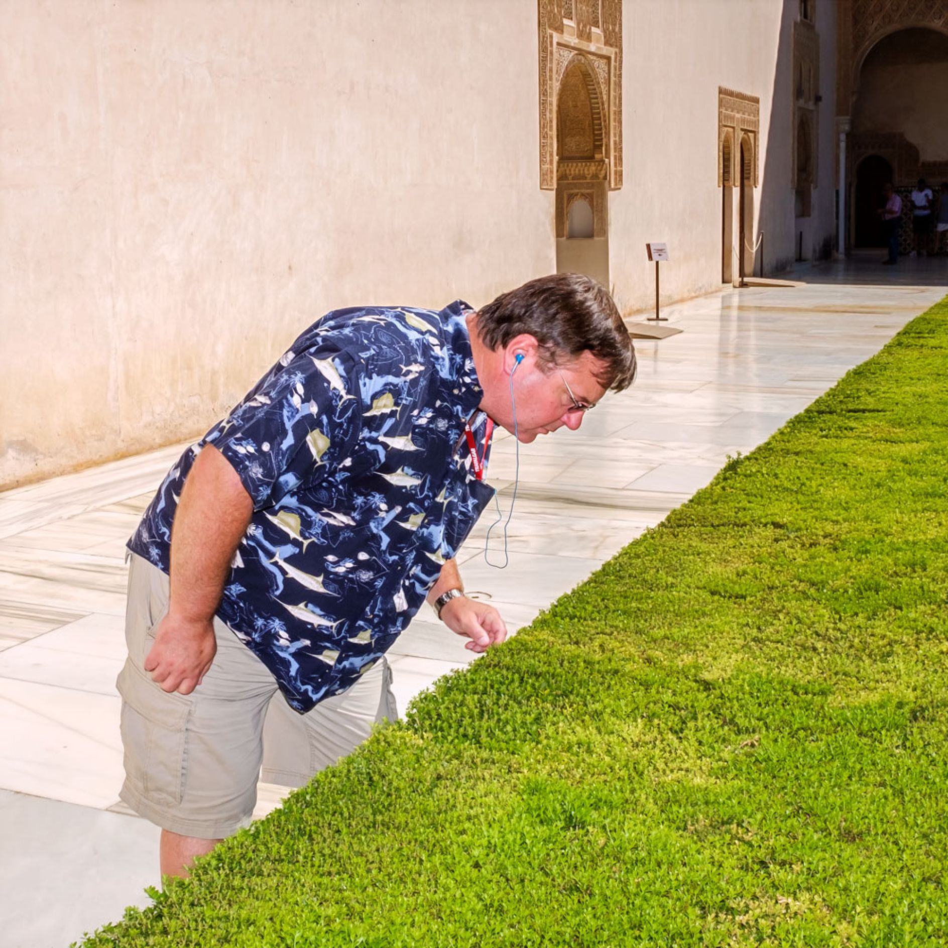 Bored Tourists: a colourful, ironic look at tourists on holiday ...
