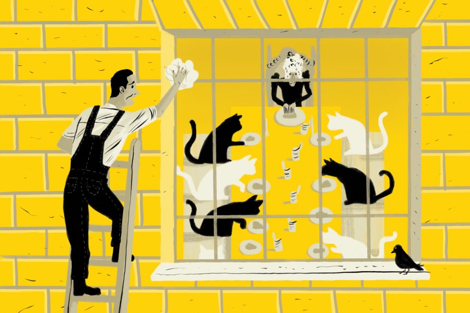 Artist illustrates the strangest things ever spotted through a window ...