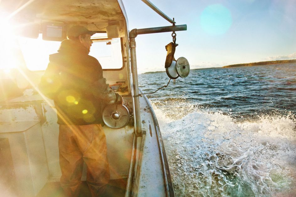 The American Worker: The world's most extreme jobs caught on camera ...