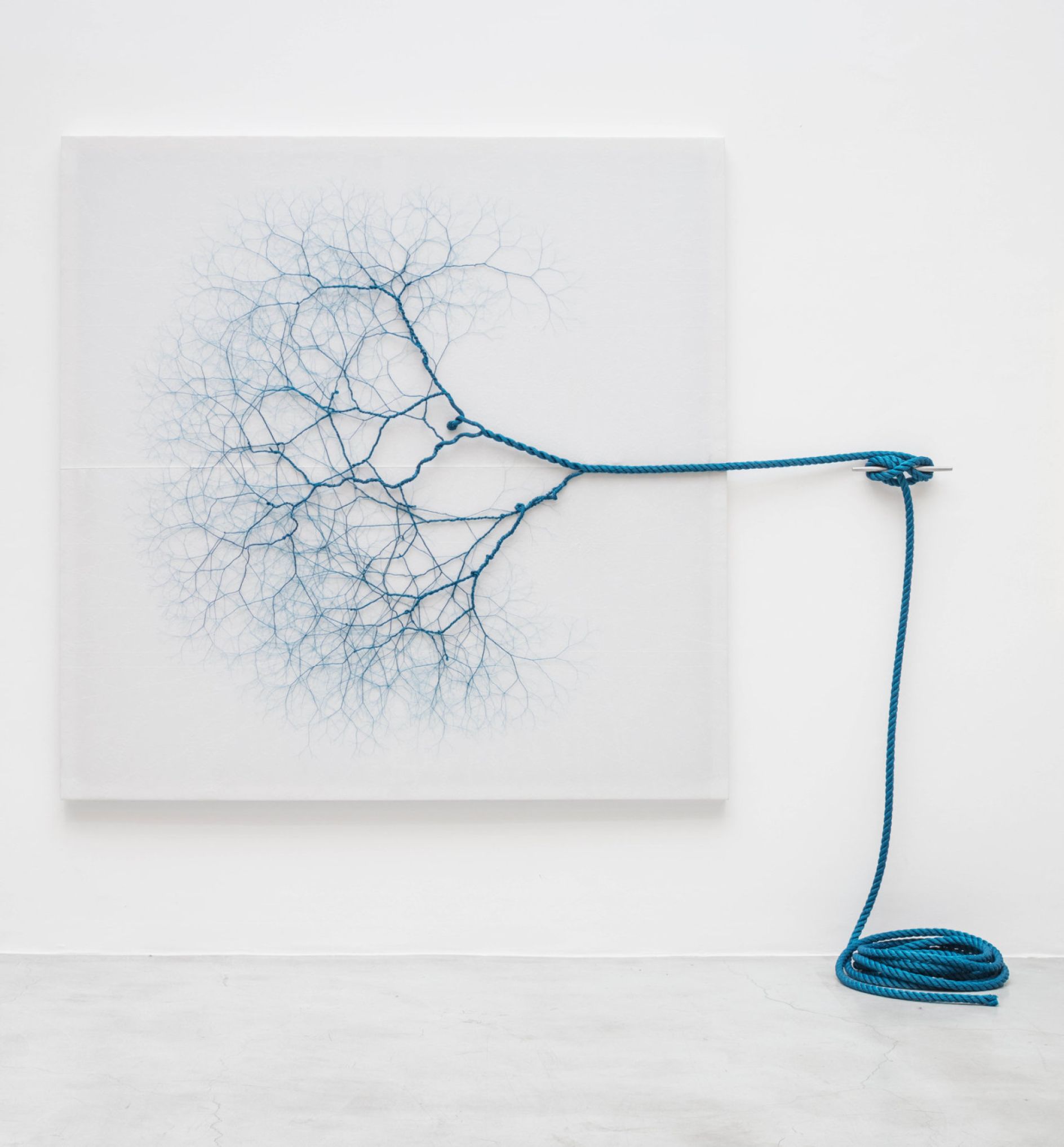 Threaded rope artworks that depict tree roots or human blood vessels by ...