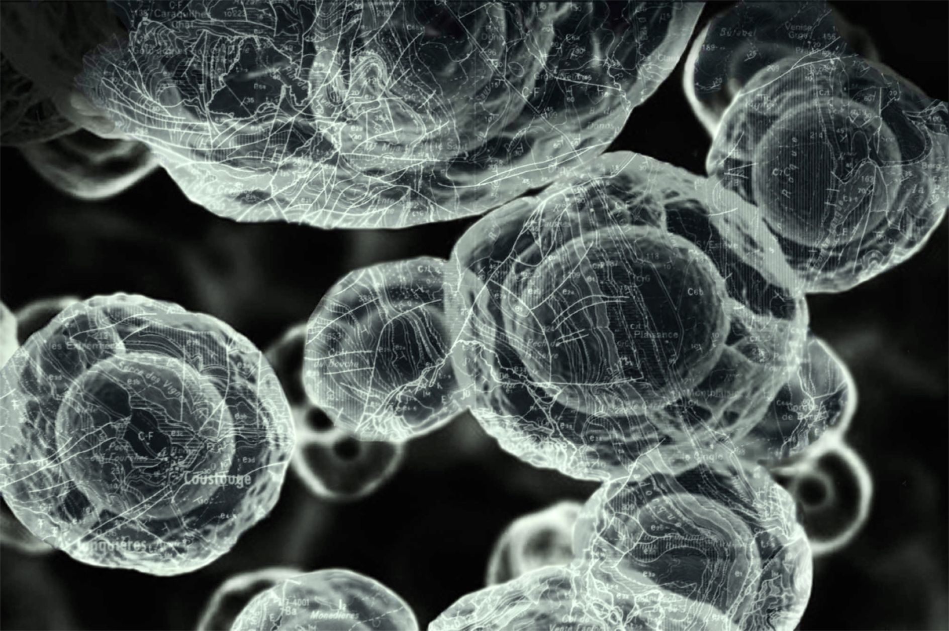 Stunning showcase of photographs celebrate the wonders of the ...