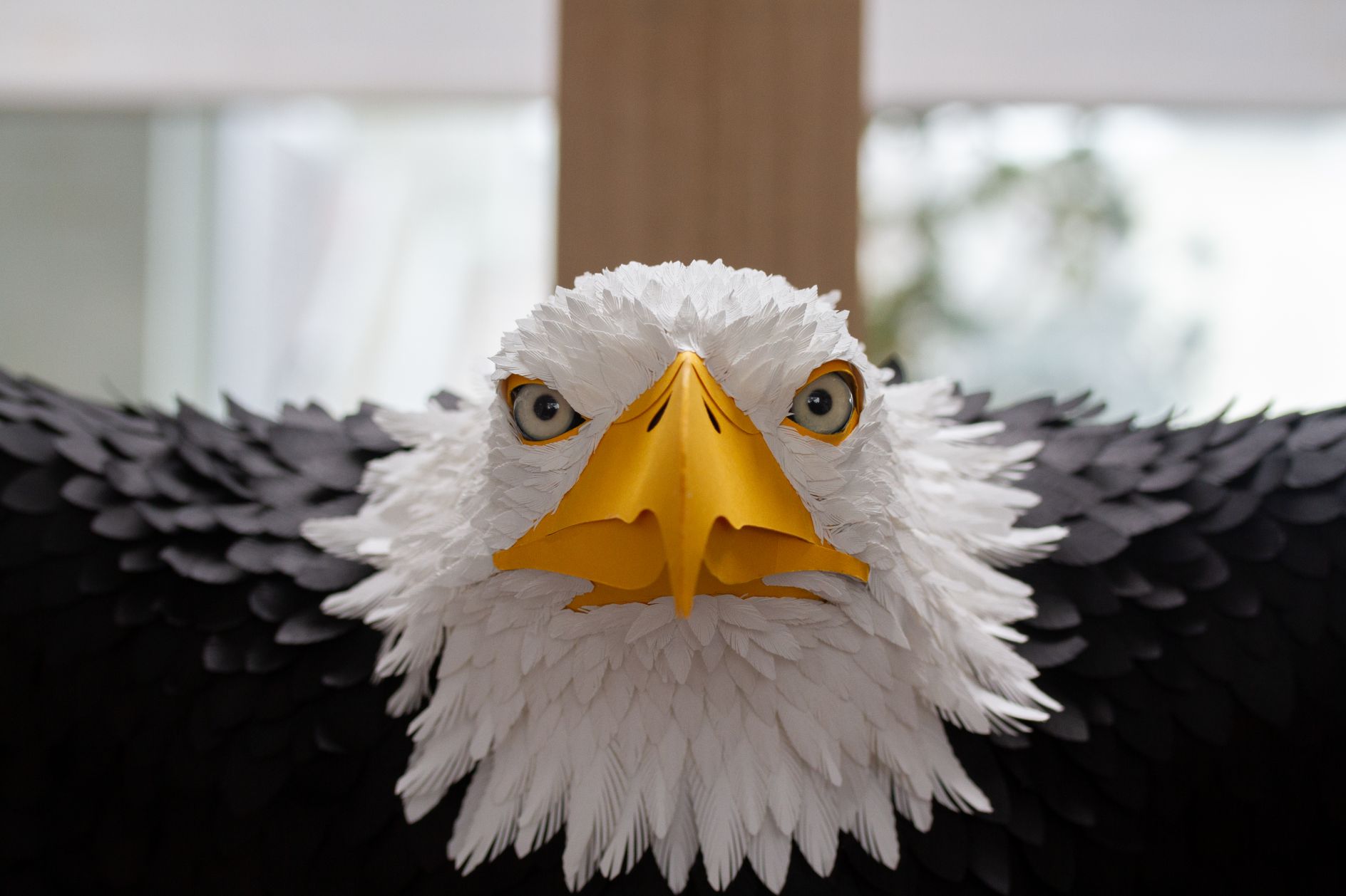 A giant bald eagle made entirely of paper is Lisa Lloyd's biggest ...