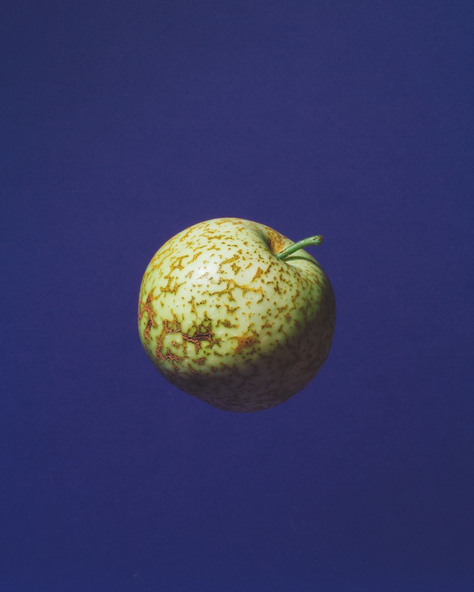 Odd Apples: Photographs by William Mullan of some of the world's ...