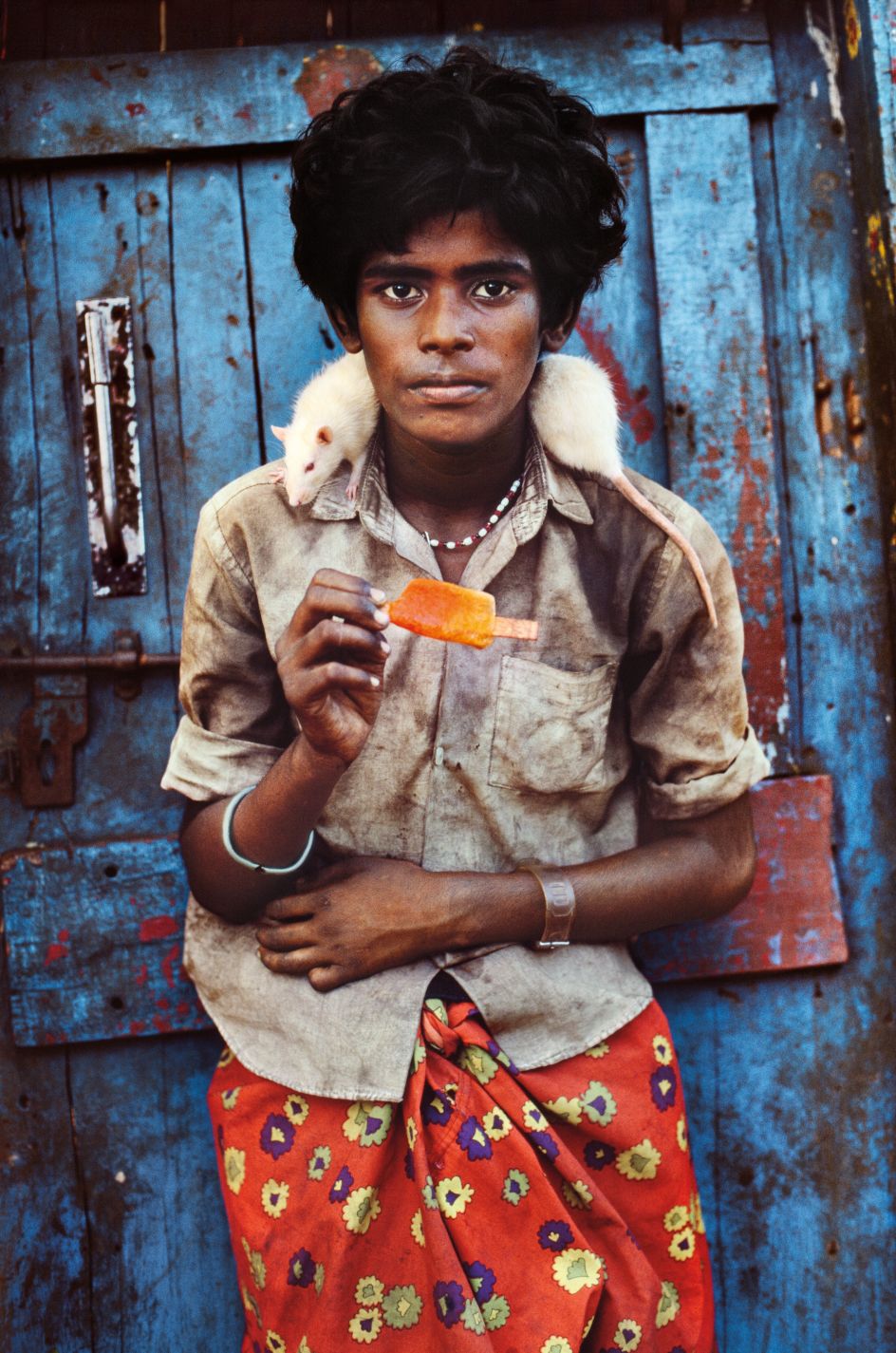 Legendary photographer Steve McCurry turns his lens on creatures around ...