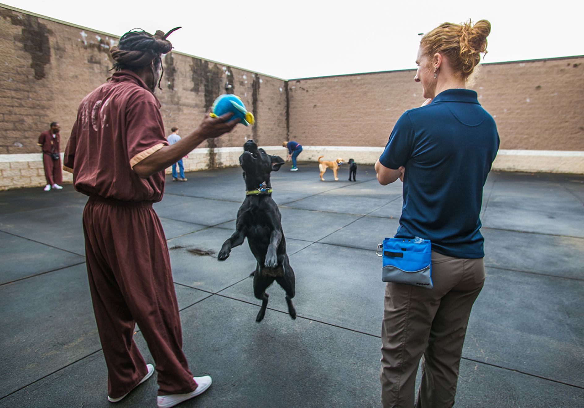 Training Day: Photographs that uncover 'Canine Partners for Life' at ...