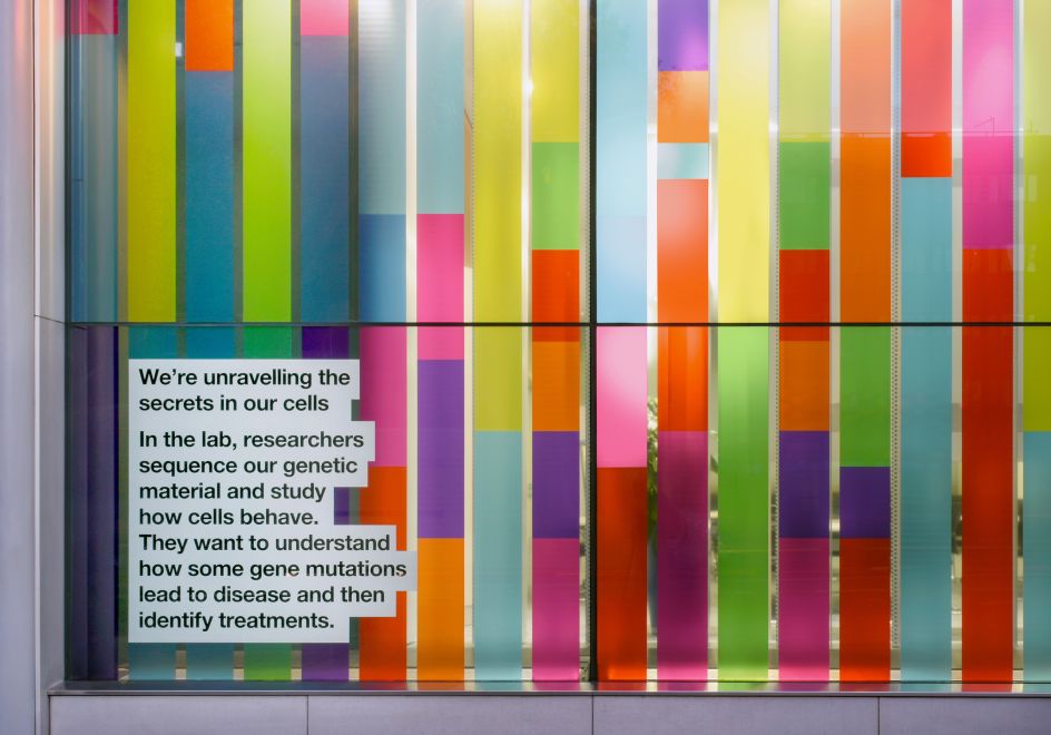 Pentagram’s vibrant new window installation that demystifies genomics ...