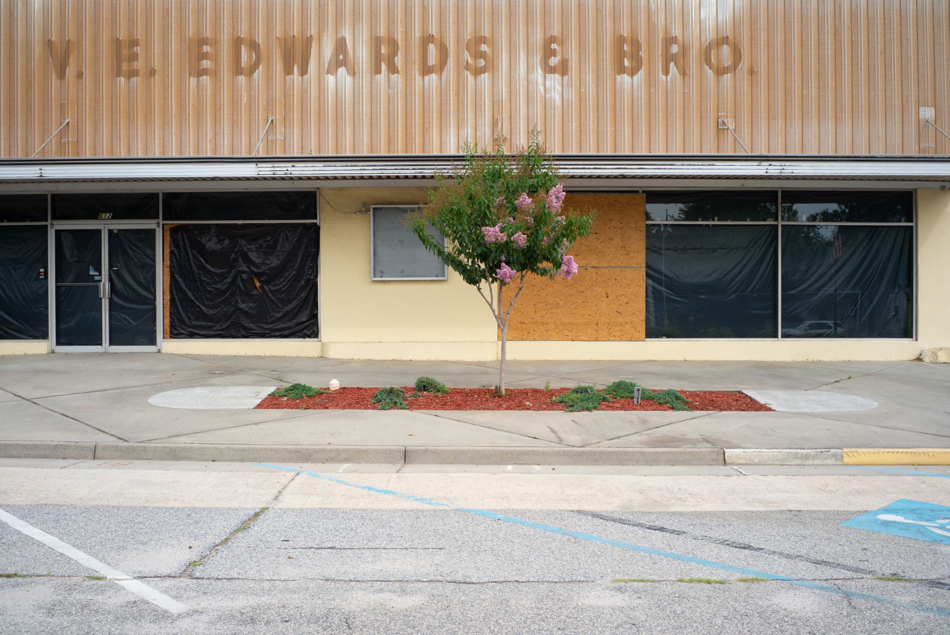 Photographs by Peter Stitt that show a love and curiosity of the ...