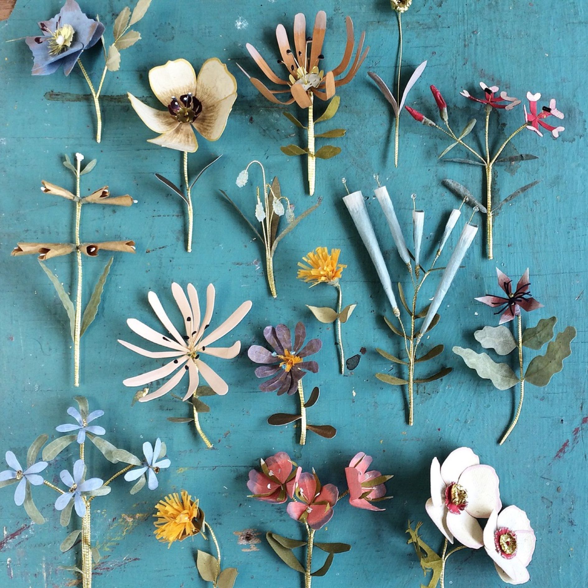 Botanical Sculptures: Delicate flowers and leaves made out of paper by ...