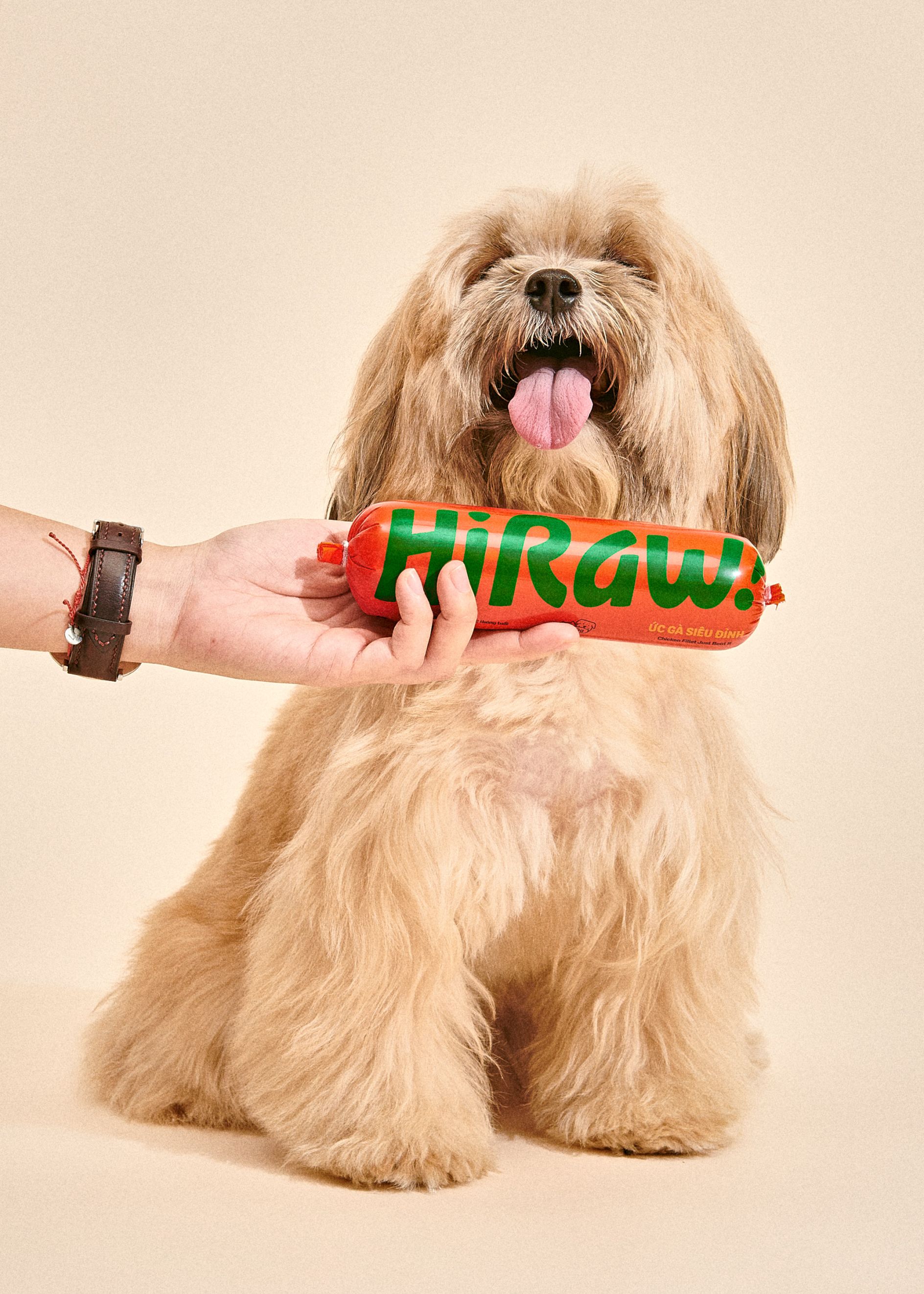 Raw pet food brand HiRaw's new identity takes a playful approach ...