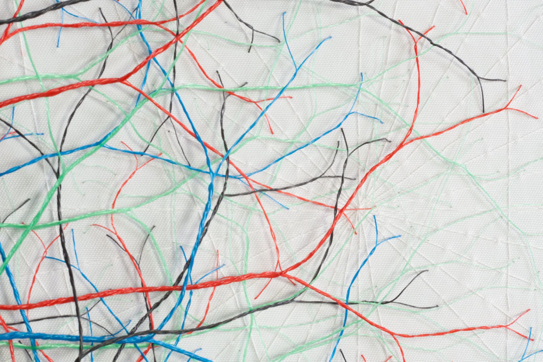 Threaded rope artworks that depict tree roots or human blood vessels by ...